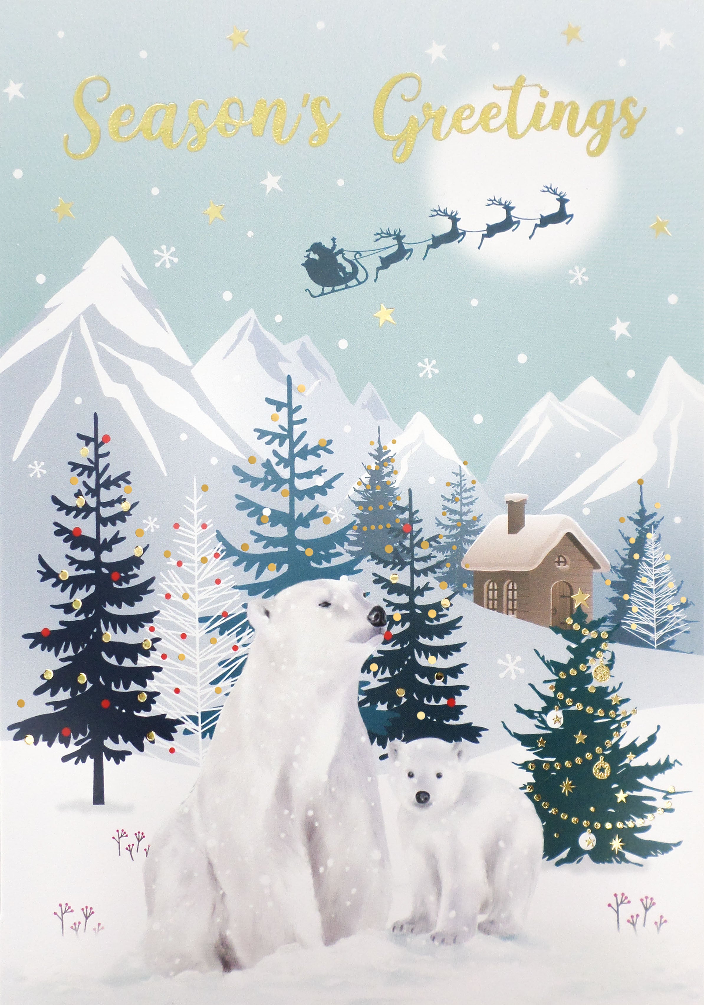 Surprise 3D Pop Out Polar Bears Christmas Pop Up Greeting Card – Love ...
