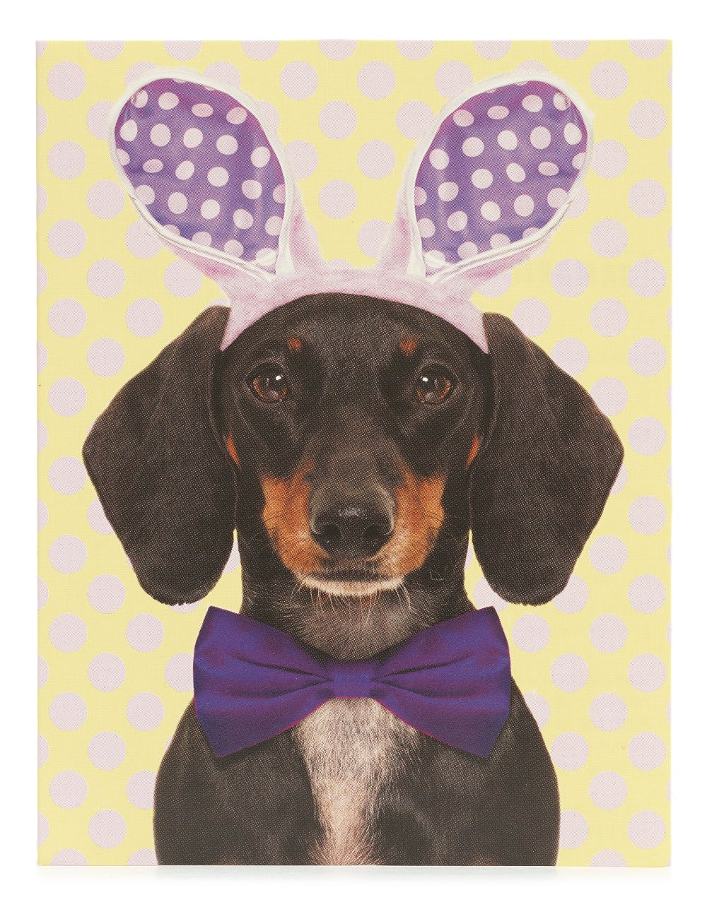 Pack of 6 Samaritans Charity Easter Greeting Cards – Love Kate's