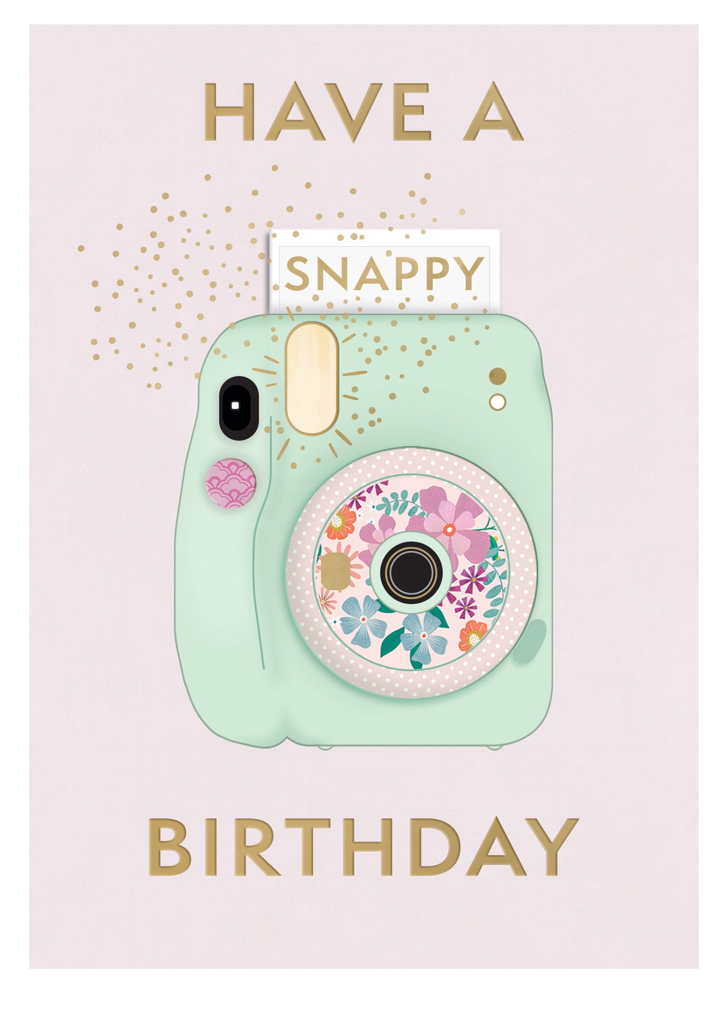 Have A Snappy Birthday Snap-tastic Fun! Contemporary Birthday Card ...