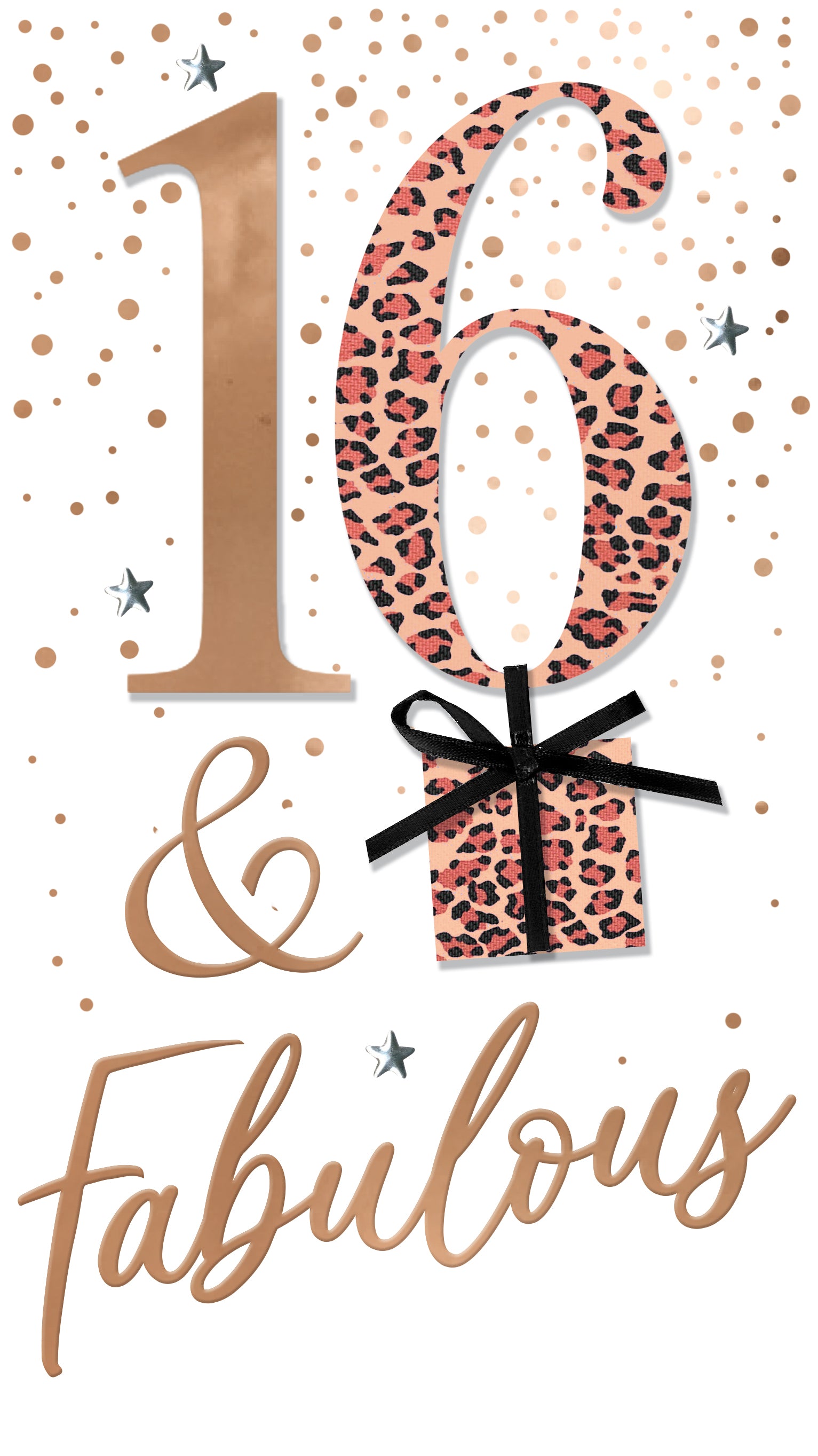 Sweet Sixteen Birthday Cards 16th Birthday Greetings Card General