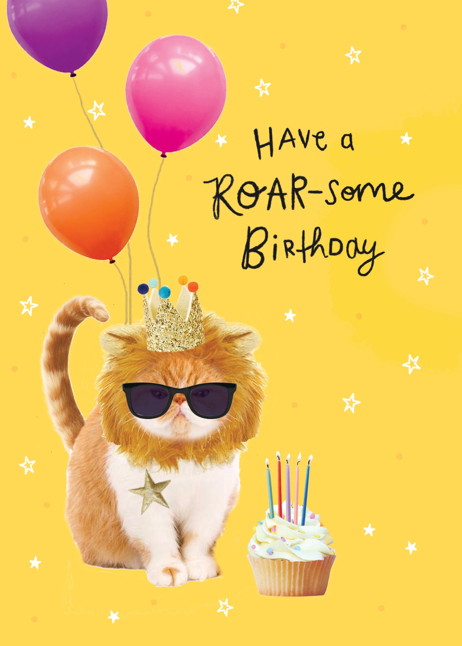 Scribbler Have A Roar-Some Birthday Party Paws! Funny Birthday Card ...