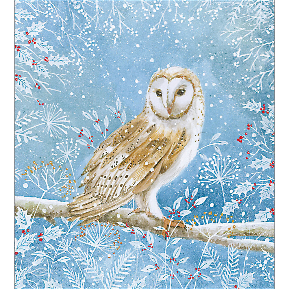 Pack Of 5 Snowy Day Nighty-Night Owl Charity Christmas Cards – Love Kate's