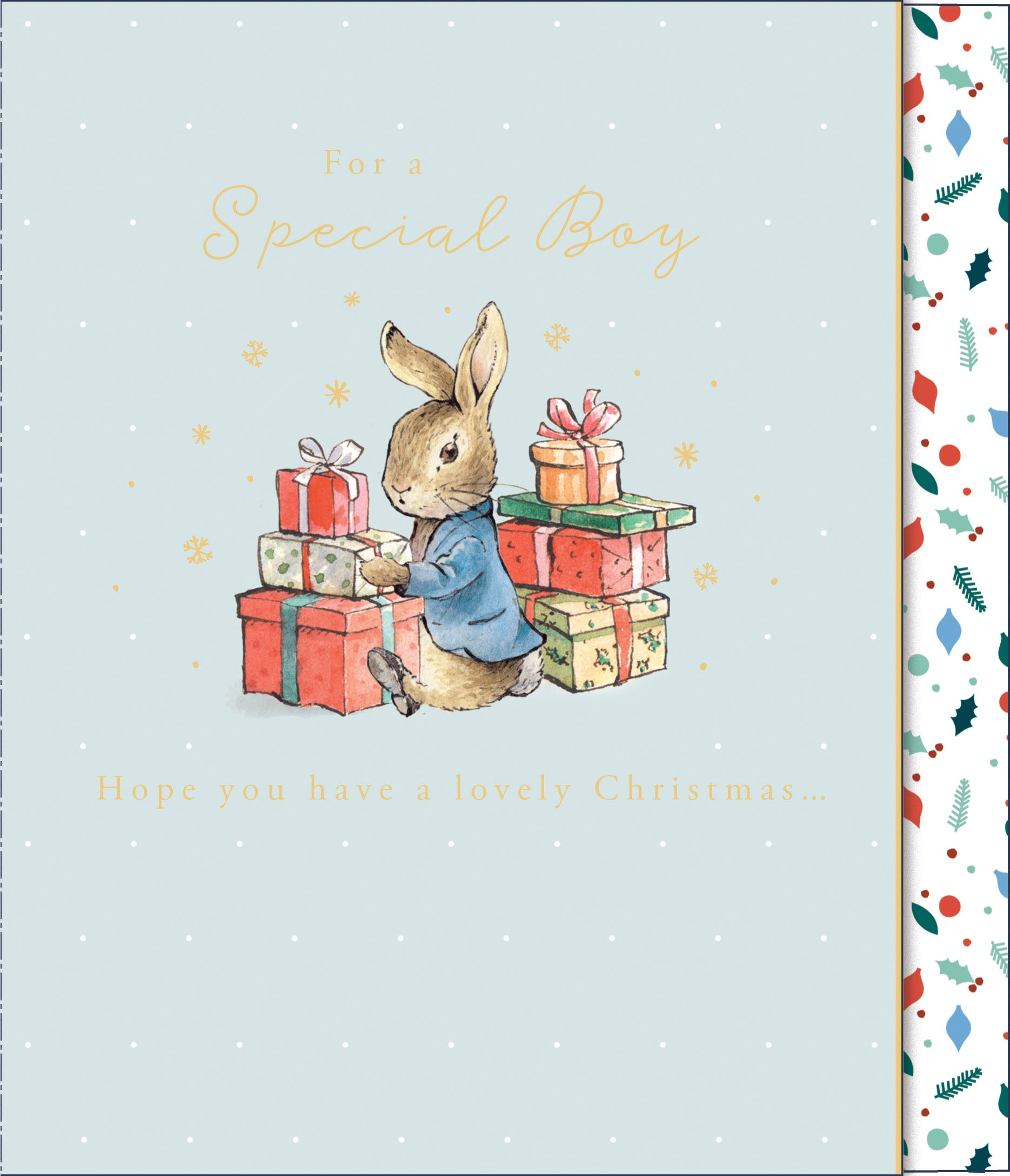 Peter Rabbit For A Special Boy Cute Christmas Card – Love Kate's