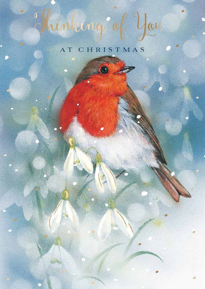 Thinking Of You At Christmas Robin & Snowdrops Christmas Card – Love Kate's