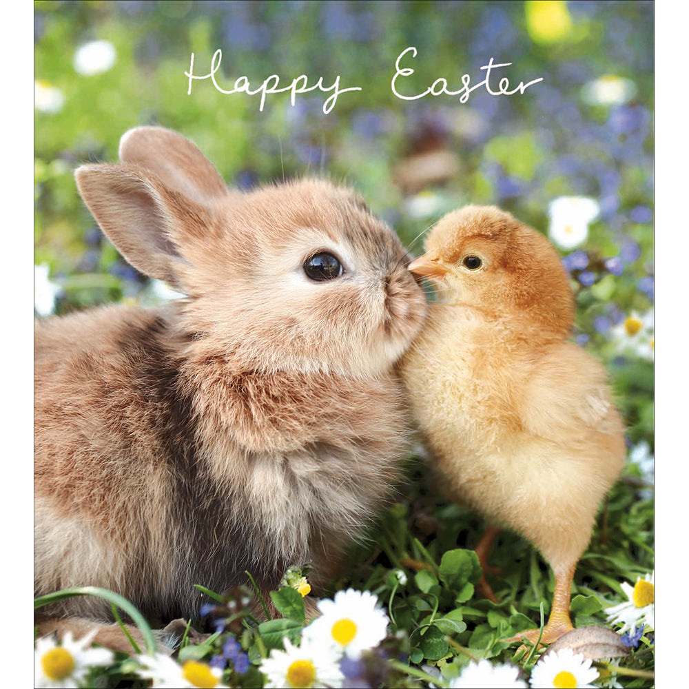 Pack Of 5 Happy Easter Hoppy Together Easter Cute Pack Of Greeting Car ...